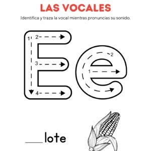 Mi Cuaderno de Trazos de las Vocales – Academiaiialu store